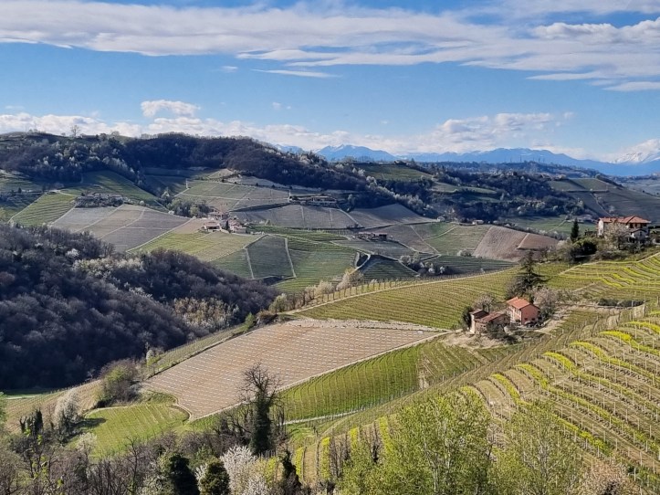 Roddino – a change of pace – Food and Adventures Along the Way
